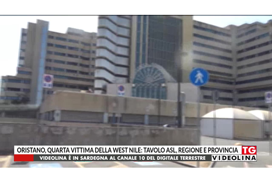 ORISTANO, QUARTA VITTIMA DELLA WEST NILE: TAVOLO ASL, REGIONE E ...