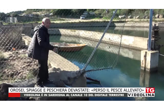 OROSEI, SPIAGGE E PESCHIERA DEVASTATE: «PERSO IL PESCE ALLEVATO ...