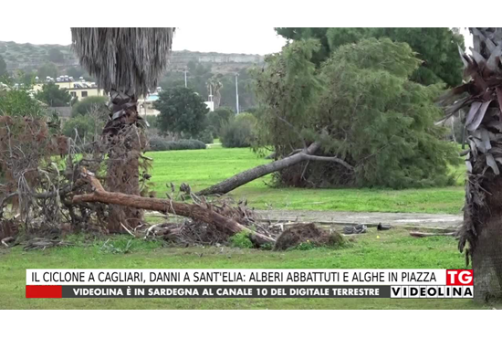 IL CICLONE A CAGLIARI, DANNI A SANT'ELIA: ALBERI ABBATTUTI E ALGHE IN ...