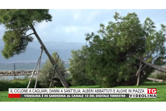 IL CICLONE A CAGLIARI, DANNI A SANT'ELIA: ALBERI ABBATTUTI E ALGHE IN ...