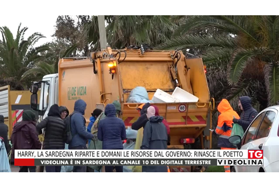 HARRY, LA SARDEGNA RIPARTE E DOMANI LE RISORSE DAL GOVERNO: RINASCE IL ...