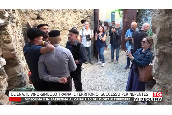 OLIENA, IL VINO-SIMBOLO TRAINA IL TERRITORIO: SUCCESSO PER NEPENTES ...